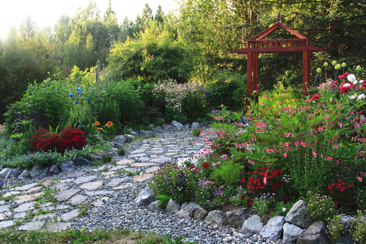 Designing a Perennial Garden With Peonies – Alaska Peony Cooperative